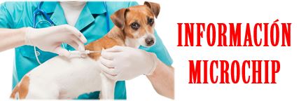 Portal Mascotas - Peñalolén | Implantación de Microchip para perros y gatos